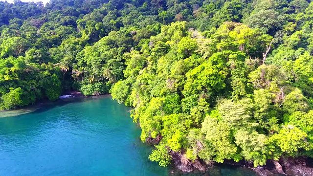 "Jungle Island" Images – Browse 194 Stock Photos, Vectors, and Video ...