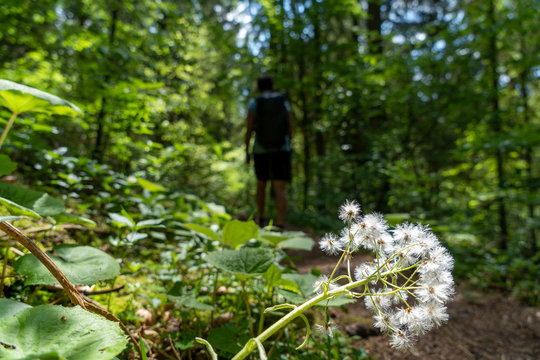 Fingen Images – Browse 58 Stock Photos, Vectors, and Video | Adobe Stock