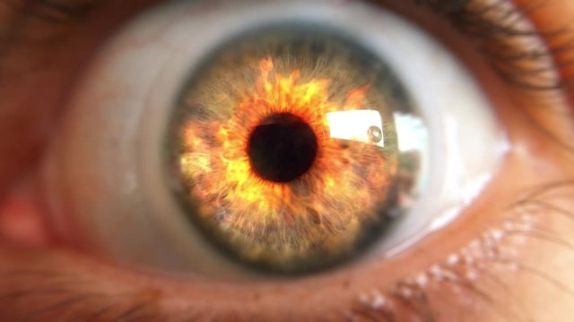 "Watch Fire" Bilder – Durchsuchen 189 Archivfotos, Vektorgrafiken und ...