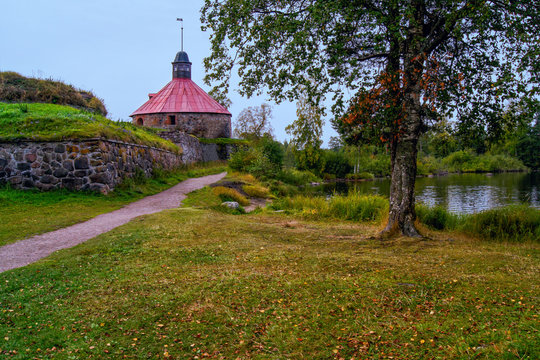 「Corela」の写真素材 | 13件の無料イラスト画像 | Adobe Stock