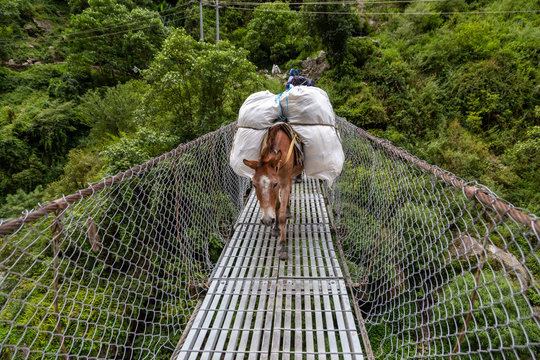 Eselsbrücke-Bilder: Stock-Fotos & -Videos. | Adobe Stock