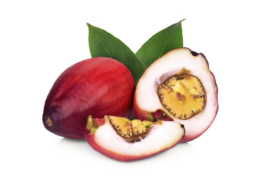 รูปภาพPomerac – เลือกดูภาพถ่ายสต็อก เวกเตอร์ และวิดีโอ164 | Adobe Stock