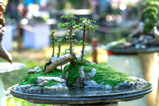 Penjing Images – Parcourir 1,113 le catalogue de photos, vecteurs et ...
