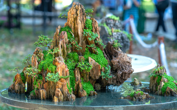 รูปภาพPenjing – เลือกดูภาพถ่ายสต็อก เวกเตอร์ และวิดีโอ1,135 | Adobe Stock