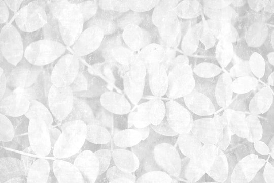 "Monotone Background" Images – Browse 218 Stock Photos, Vectors, and ...