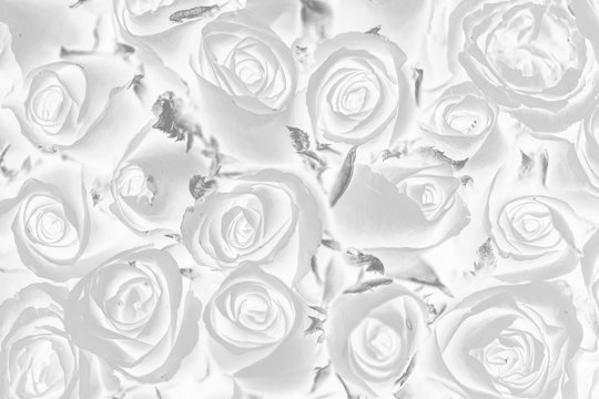 "Monotone Background" Images – Browse 218 Stock Photos, Vectors, and ...