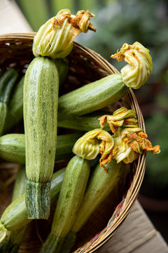 Marg bilder – Bläddra bland 43,766 stockfoton, vektorer och videor ...