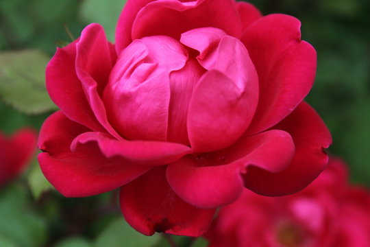 Imagens de 2C – Explore Fotografias do Stock, Vetores e Vídeos de 598 ...