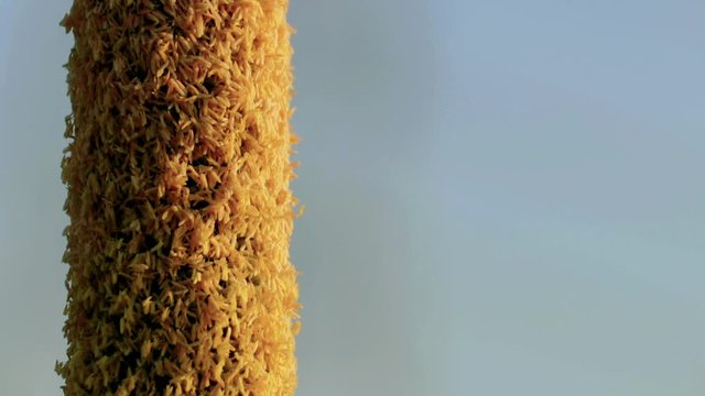 Solam Images – Browse 35 Stock Photos, Vectors, and Video | Adobe Stock