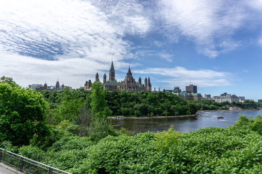 Alexandra Images – Browse 2,137 Stock Photos, Vectors, and Video ...