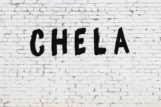 Imágenes de Chela: descubre bancos de fotos, ilustraciones, vectores y ...