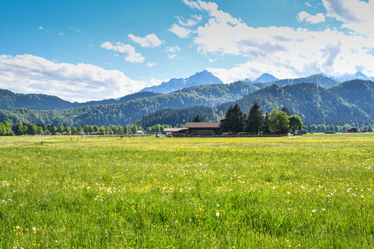 รูปภาพAlpenwiese – เลือกดูภาพถ่ายสต็อก เวกเตอร์ และวิดีโอ1,496 | Adobe ...