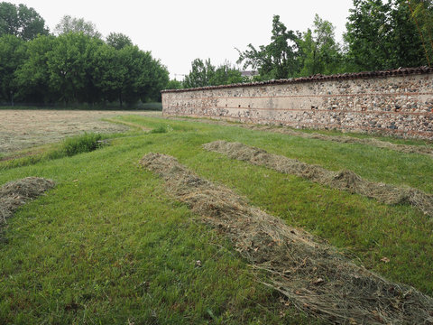 Windrows Images – Browse 2,392 Stock Photos, Vectors, and Video | Adobe ...