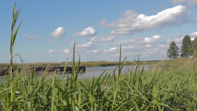 Imágenes de Dreverna: descubre bancos de fotos, ilustraciones, vectores ...