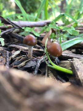 Empathogen Bilder – Durchsuchen 111 Archivfotos, Vektorgrafiken und ...