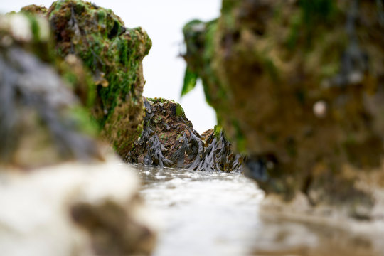 รูปภาพKnag – เลือกดูภาพถ่ายสต็อก เวกเตอร์ และวิดีโอ898 | Adobe Stock
