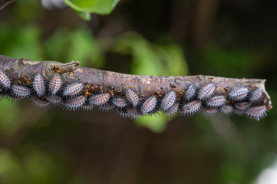 รูปภาพGaebul – เลือกดูภาพถ่ายสต็อก เวกเตอร์ และวิดีโอ748 | Adobe Stock