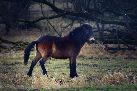 รูปภาพSoliped – เลือกดูภาพถ่ายสต็อก เวกเตอร์ และวิดีโอ14 | Adobe Stock
