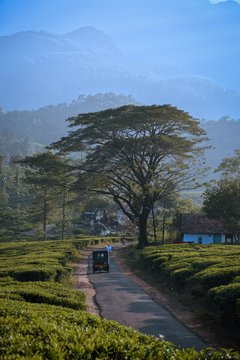 Wayanad Images – Browse 1,071 Stock Photos, Vectors, and Video | Adobe ...