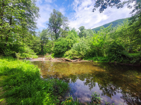 รูปภาพLozen – เลือกดูภาพถ่ายสต็อก เวกเตอร์ และวิดีโอ1,572 | Adobe Stock