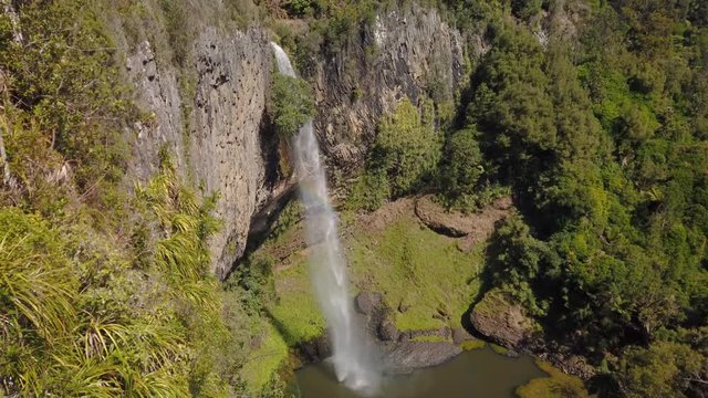 Makomako Images – Browse 1,075 Stock Photos, Vectors, and Video | Adobe Stock