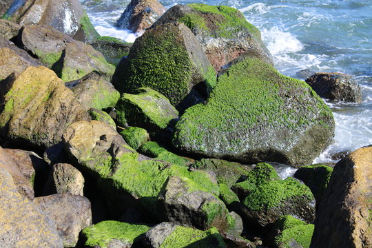 "Moss Rocks" Images – Browse 337 Stock Photos, Vectors, and Video ...