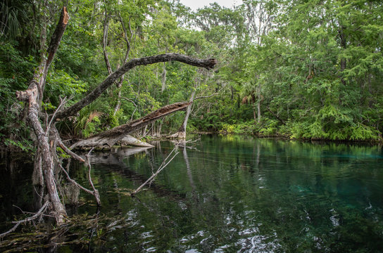 Overt bilder – Bläddra bland 166,612 stockfoton, vektorer och videor ...