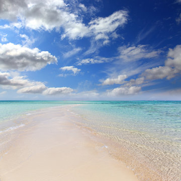 Obrázky Sandbar – procházejte fotografie, vektory a videa 109,984 ...