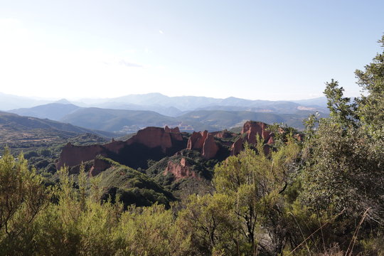 Marg bilder – Bläddra bland 43,766 stockfoton, vektorer och videor ...