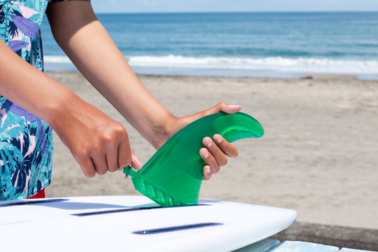"Surf Fins" Images – Browse 58 Stock Photos, Vectors, and Video | Adobe ...