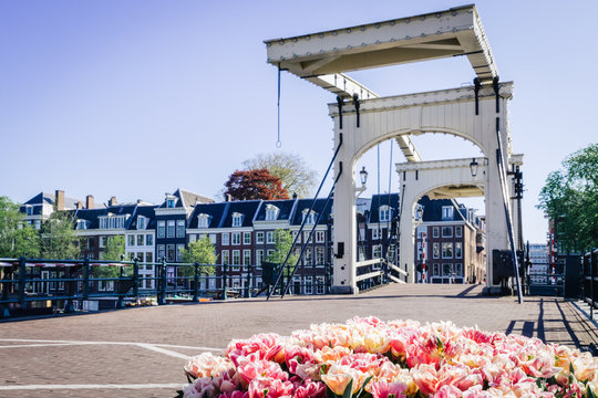 Shut-Down Images – Browse 59 Stock Photos, Vectors, and Video | Adobe Stock