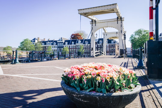 Shut-Down Images – Browse 59 Stock Photos, Vectors, and Video | Adobe Stock