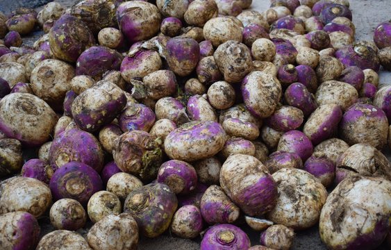 Nabos Images – Browse 71 Stock Photos, Vectors, and Video | Adobe Stock