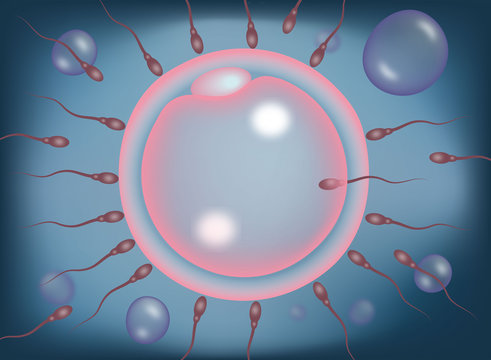 Icsi Bilder – Durchsuchen 491 Archivfotos, Vektorgrafiken und Videos ...
