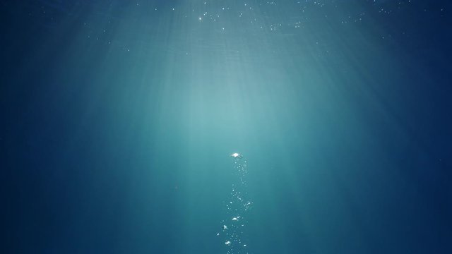 "Deep Water" Images – Browse 9,462 Stock Photos, Vectors, and Video ...