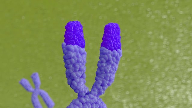 รูปภาพTelomere – เลือกดูภาพถ่ายสต็อก เวกเตอร์ และวิดีโอ1,409 | Adobe Stock