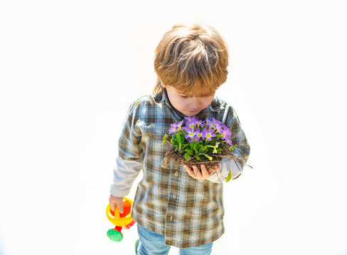 Spuddle Images – Browse 50 Stock Photos, Vectors, and Video | Adobe Stock