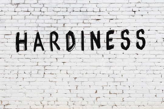 Exuberância Imagens – Procure 18,612 fotos, vetores e vídeos | Adobe Stock