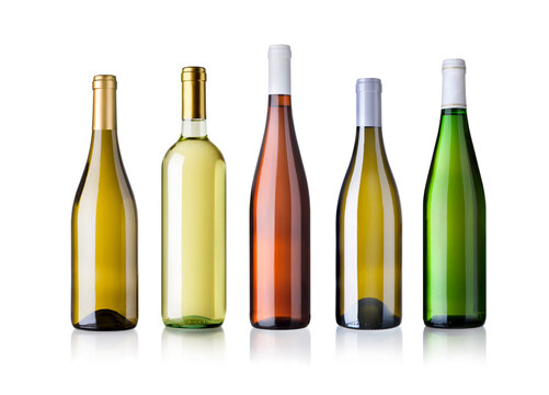 Lasche bilder – Bläddra bland 488 stockfoton, vektorer och videor ...