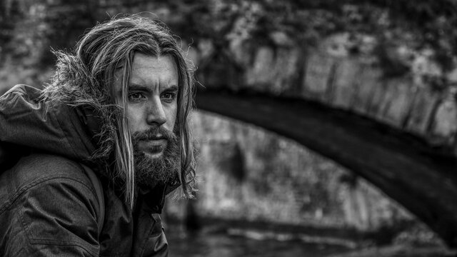 Dishevel bilder – Bläddra bland 29,782 stockfoton, vektorer och videor ...