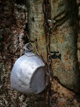 Cannikin Images – Browse 281 Stock Photos, Vectors, and Video | Adobe Stock