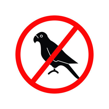 "No Bird" Images – Browse 165 Stock Photos, Vectors, and Video | Adobe ...