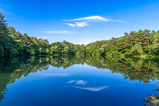 Goshiki-Numa Images – Browse 120 Stock Photos, Vectors, and Video ...