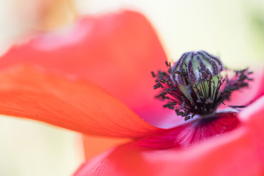 Souligne Images – Browse 3 Stock Photos, Vectors, and Video | Adobe Stock