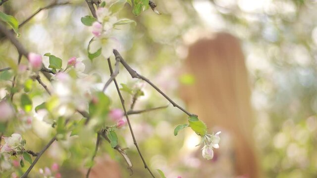 Fler Images – Browse 106 Stock Photos, Vectors, and Video | Adobe Stock