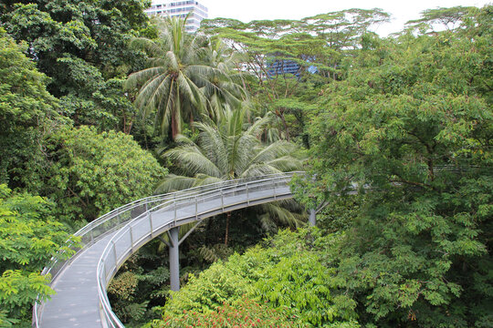 Singaporian Bilder – Durchsuchen 406 Archivfotos, Vektorgrafiken und ...