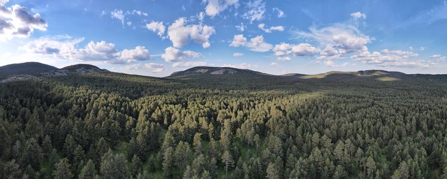 Fotos, lizenzfreie Bilder, Grafiken, Vektoren und Videos von "borealer ...