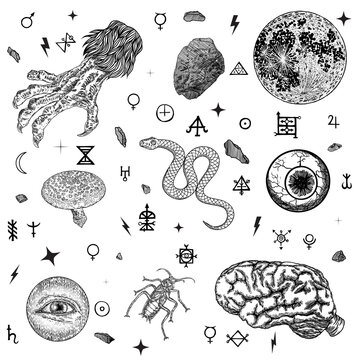 Lilith 이미지 – 찾아보기 661 스톡 사진, 벡터 및 비디오 | Adobe Stock