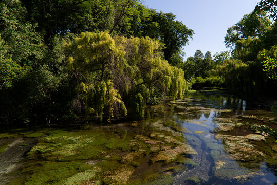 Porcia Images – Browse 38 Stock Photos, Vectors, and Video | Adobe Stock