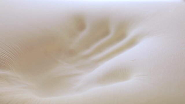 Memory Foam Images – Browse 14,725 Stock Photos, Vectors, and Video ...